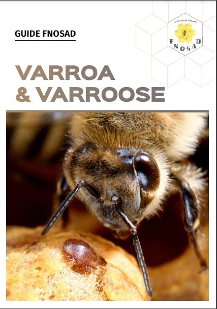 Guide Varroa et varroase :: Rucher Ecole du Chablais